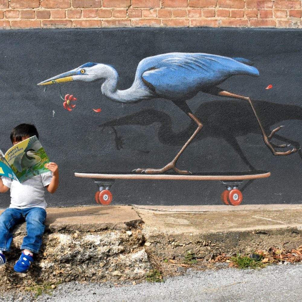 Recent Northwest Arkansas Explore the Area