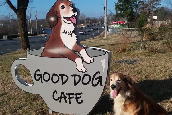 Northwest Arkansas In The Headlines