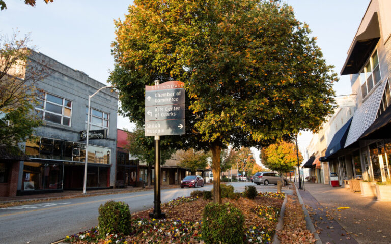 Finding NWA - Springdale