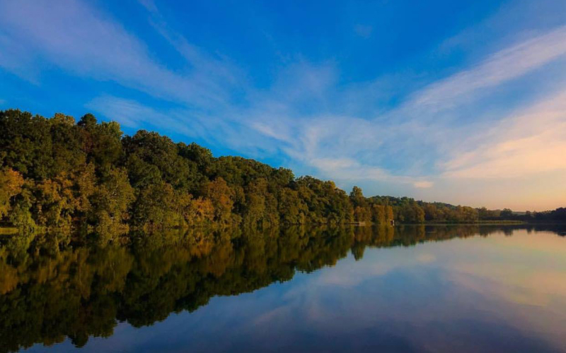 Finding NWA - Rogers